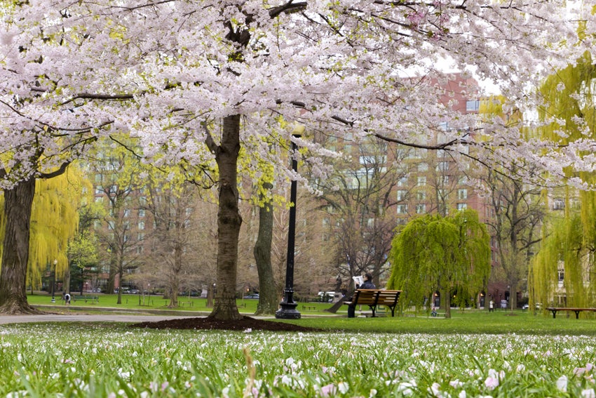40 Reasons to Love Boston: Why We're Proud to Call Boston Home
