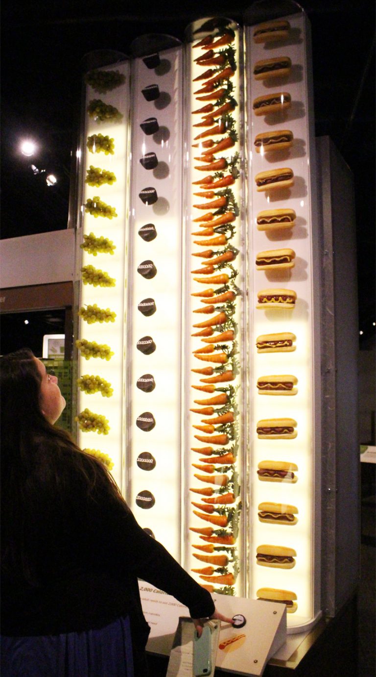 Sneak Peek: New Hall of Human Life at the Museum of Science, Boston