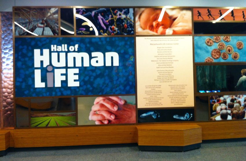 Exploring the Human Body at the Boston Museum of Science