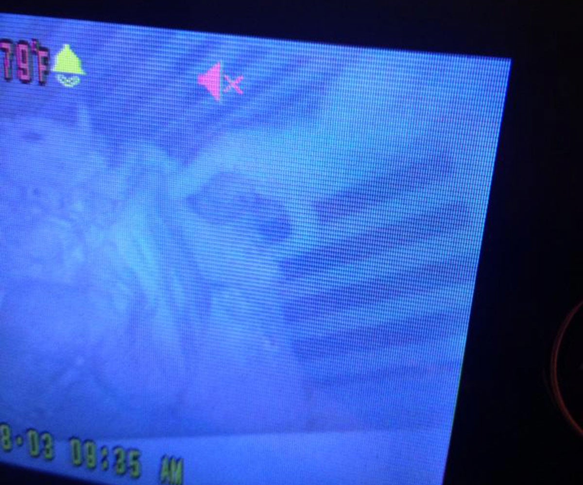 This Toddler is Doing a Handstand in Her Crib - Boston Magazine