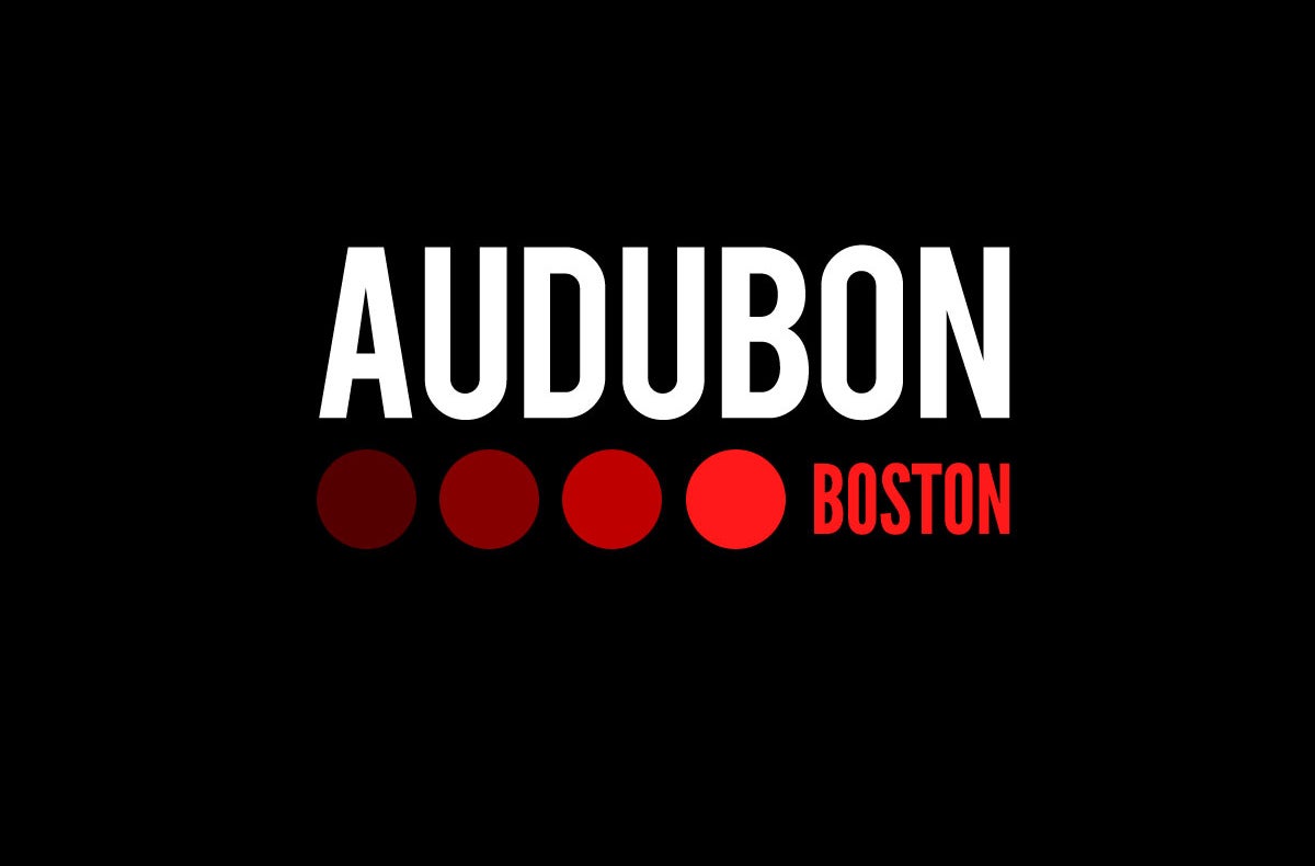 An Exclusive First Look at the New Audubon Menu - Boston Magazine