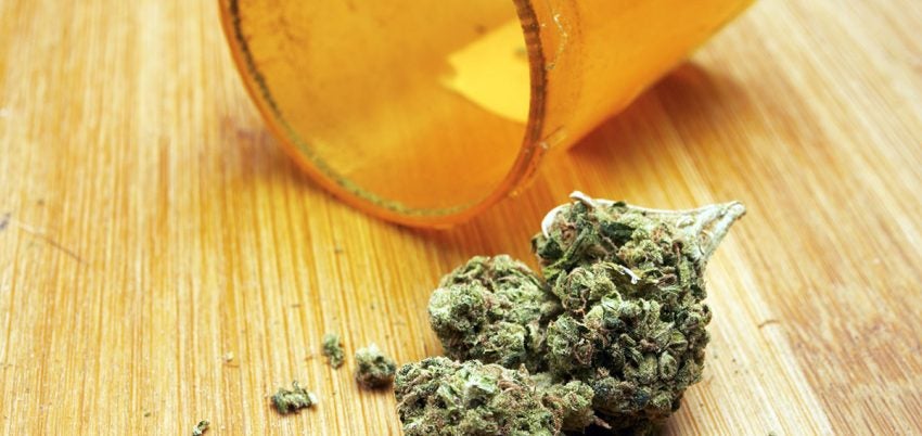 Boston's First Marijuana Exhibition Aims to Help Medical Marijuana System
