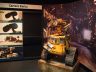 'The Science Behind Pixar' Debuts at the Museum of Science