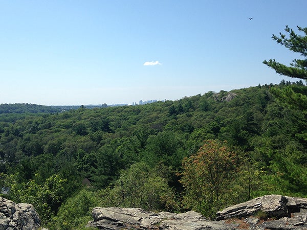 Middlesex Fells Reservation, Skyline Trail, Stoneham, MA - Boston Magazine