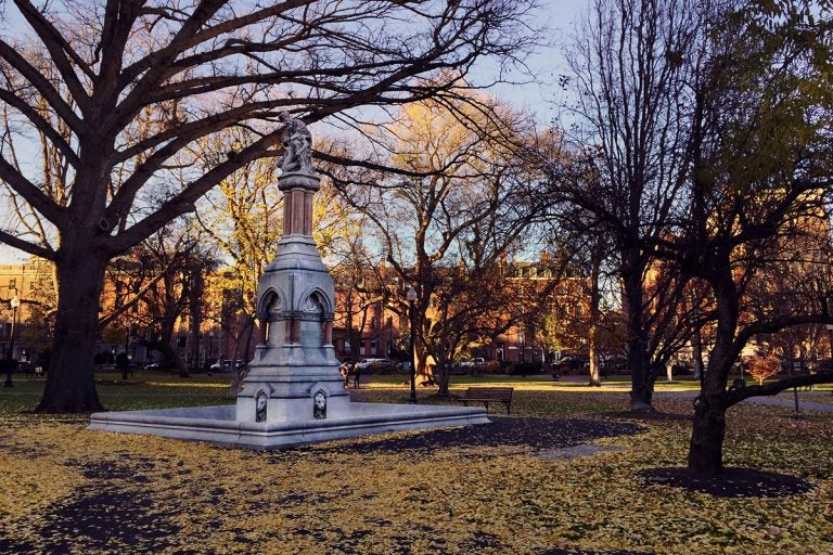 Neighborhood Public Art: Boston Common and Public Garden