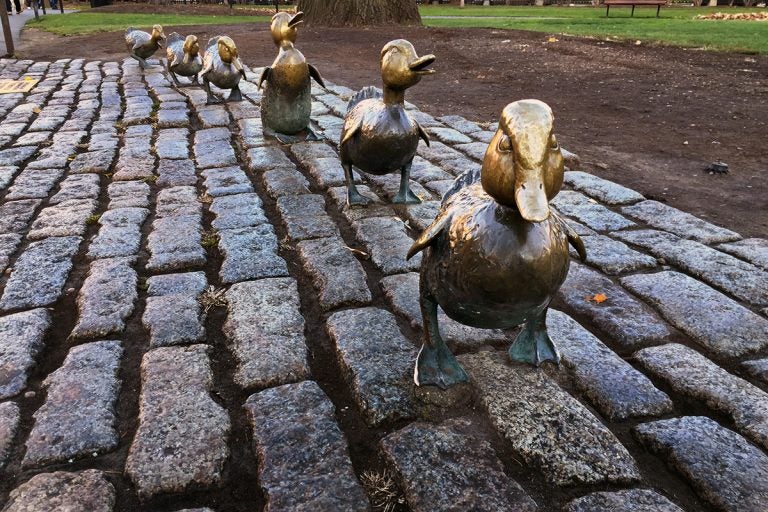 Neighborhood Public Art: Boston Common and Public Garden