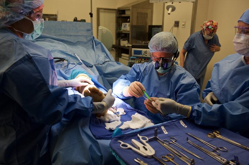 Faulkner Hospital Introduces the 'Ewing Amputation'