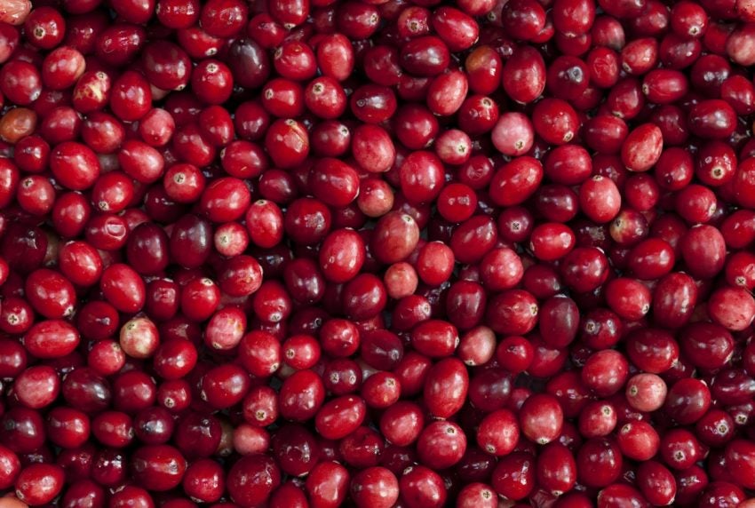 The Very Definitive Ranking of Every Official Massachusetts State Food