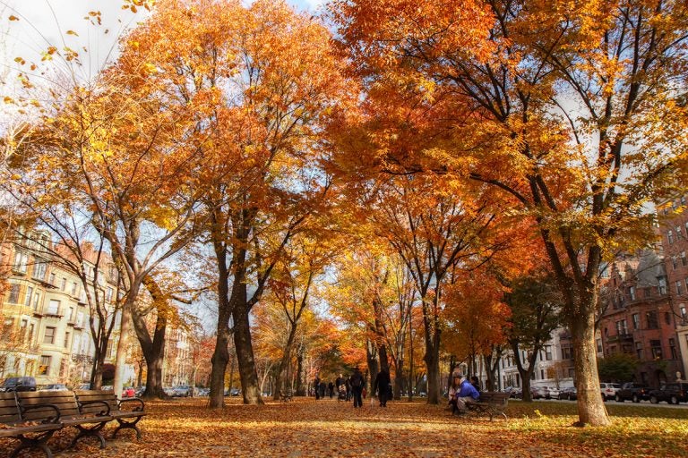 10 Gorgeous Fall Foliage Runs in Massachusetts You Should Try