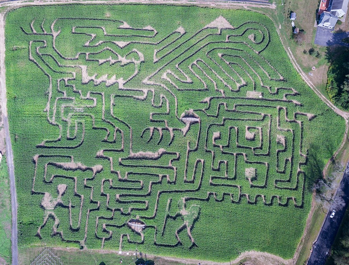 The Best Corn Mazes in Massachusetts