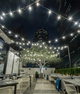 The Best Rooftop Bars and Restaurants in Boston