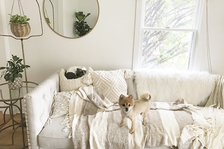 House Tour: An Airy Cottage in Worcester