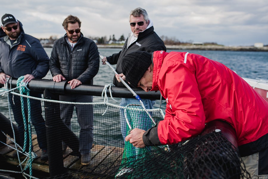 Find New Hampshire-Farmed Steelhead Trout All Winter at Boston Restaurants