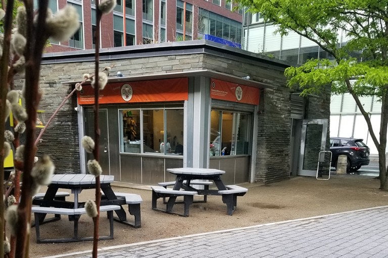 Four Longterm Lunch and Dinner Pop-Ups to Check Out in Boston
