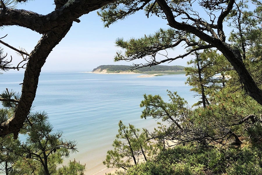 Five Awesome Hikes on Cape Cod