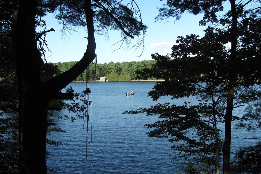 Take the MBTA to These Five Local Swimming Holes near Boston