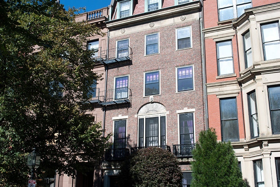 Where to Find Purple Windows in Boston