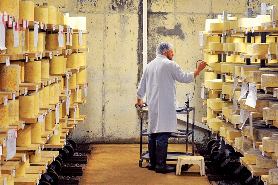 How New England Cheese Is Taking Over the World