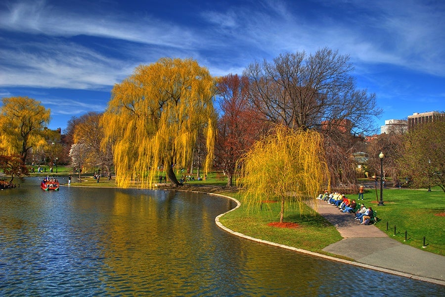 Boston Ranks among the Nation's Lowest in Green Space per Person