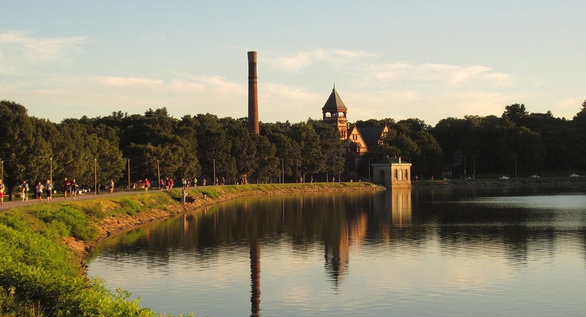 Neighborhood Guide: So You Want to Live in Chestnut Hill