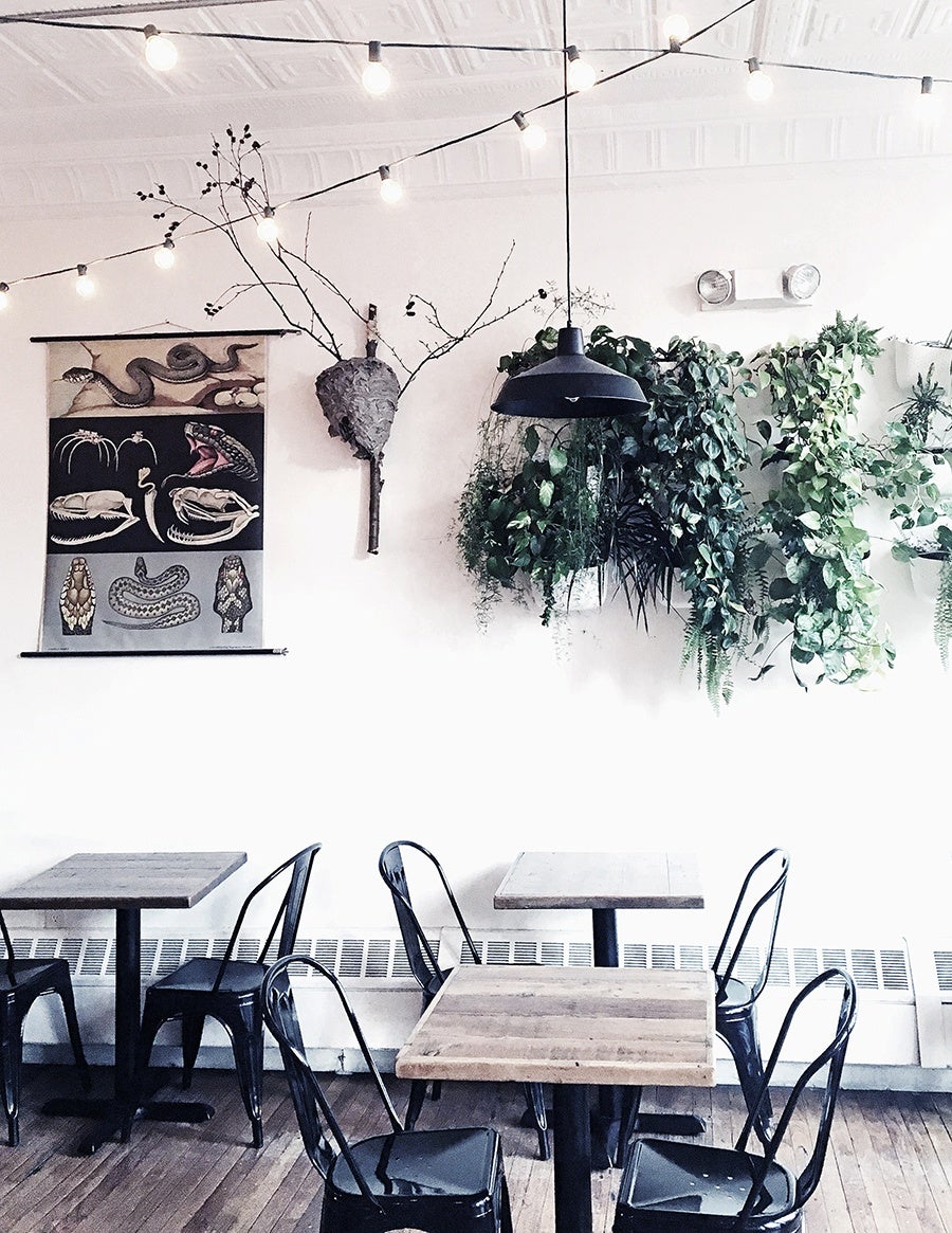 Check Out the Best Coffee Shops Around Boston Right Now