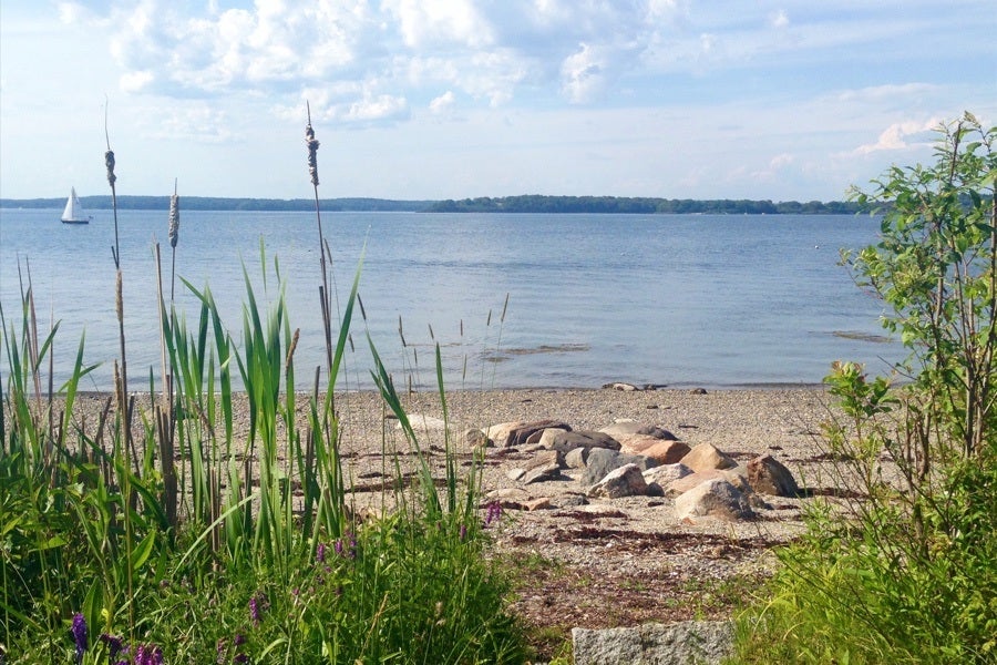 Where the Crowds Aren’t: Chebeague Island, Maine