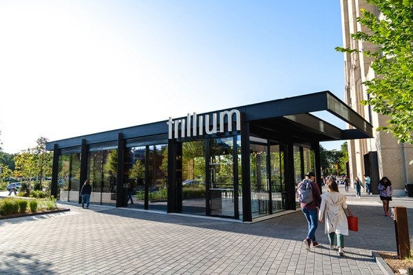 Here's Your First Look at the Trillium Brewing Taproom in the Fenway