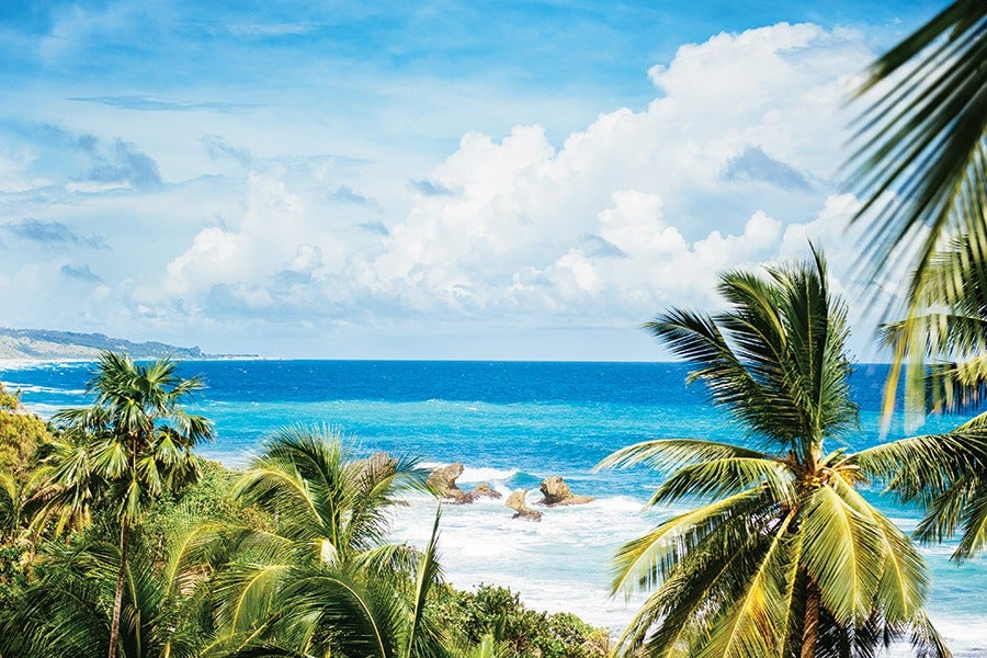 Escape the Winter Chill on the Tropical Island of Barbados