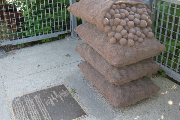 Eleven Urban Oddities to Discover on Your Next Walk Around Boston
