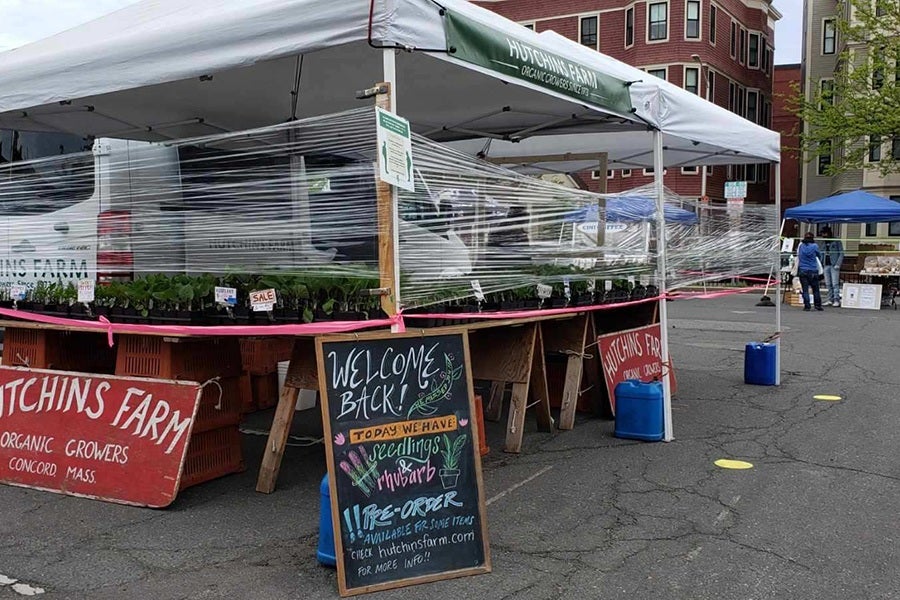 Where (and When) to Shop Farmers Markets around Boston this Summer