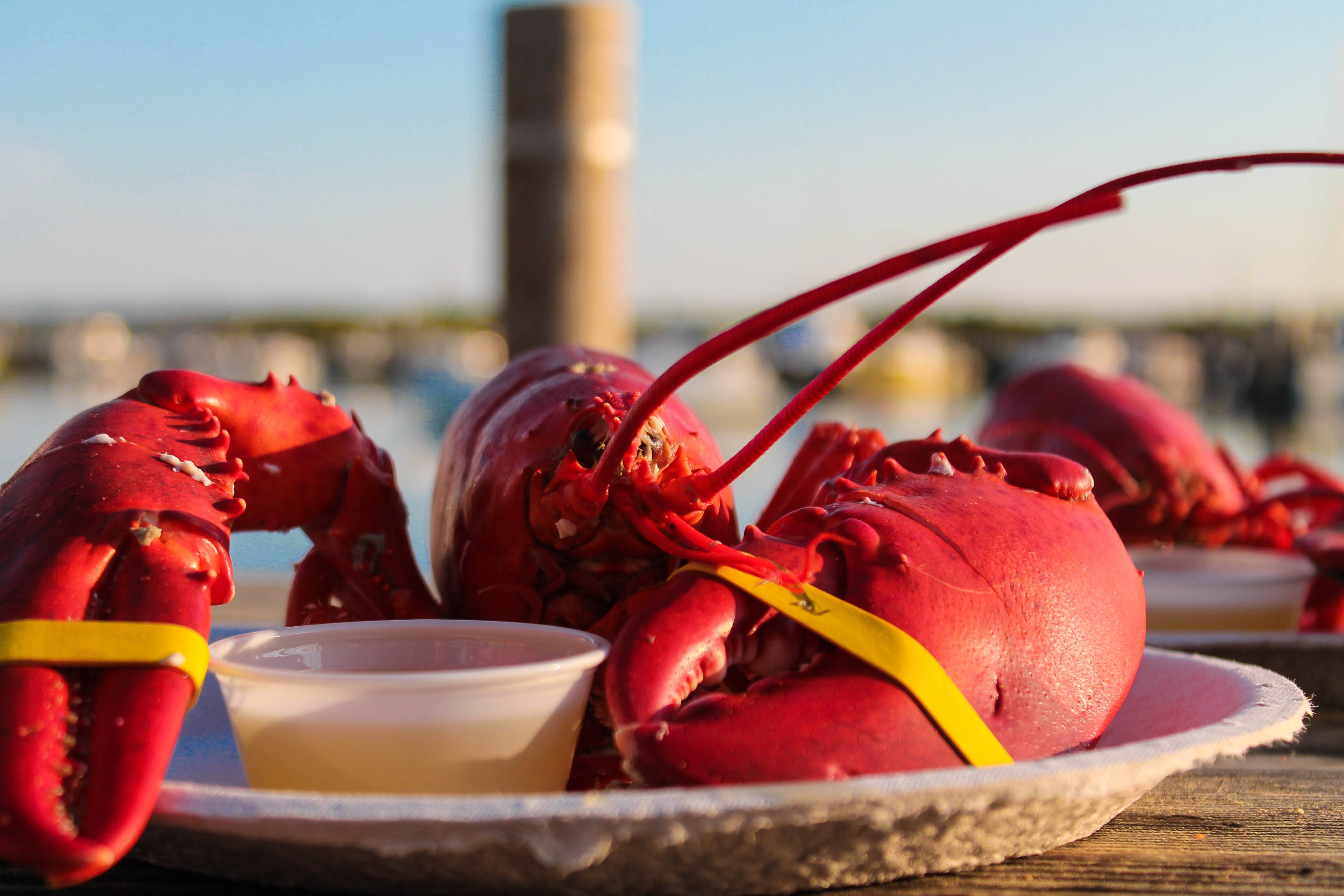 Martha’s Vineyard is Open for the Summer! Here Are 4 Things To Know ...