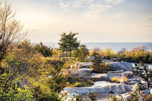 Enjoy Delicious Food and Historic Hikes on a North Shore Day Trip