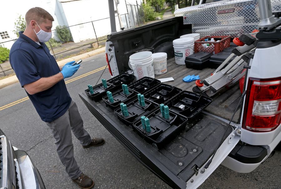 Boston Is Among the Nation's "Rattiest Cities," and It's Only Getting ...