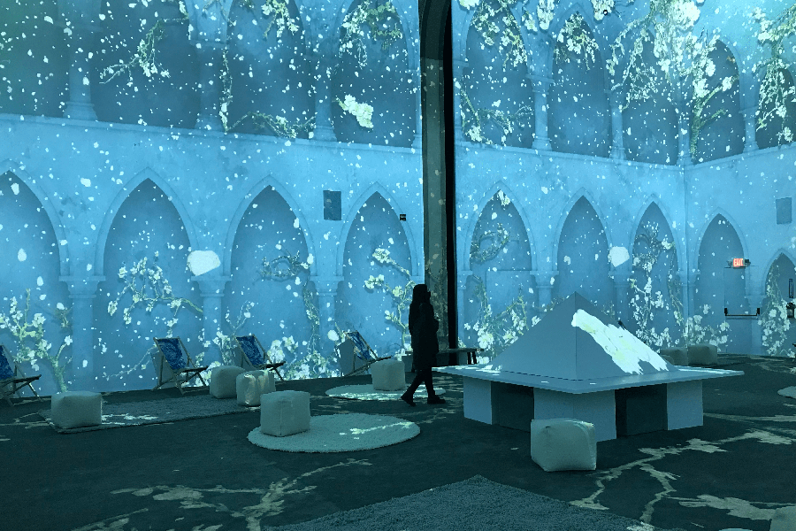 'Van Gogh: The Immersive Experience' Opens at the Strand Theatre