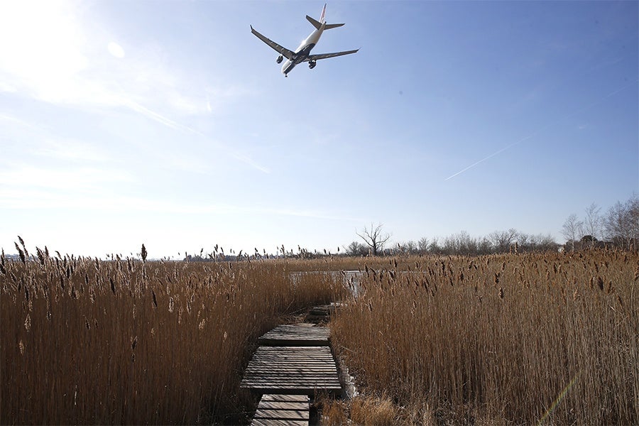 Eight Hidden Gems to Explore along Boston's Waterfront