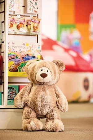 Best Boston Toy Store: Henry Bear's Park, Where Imagination Wins
