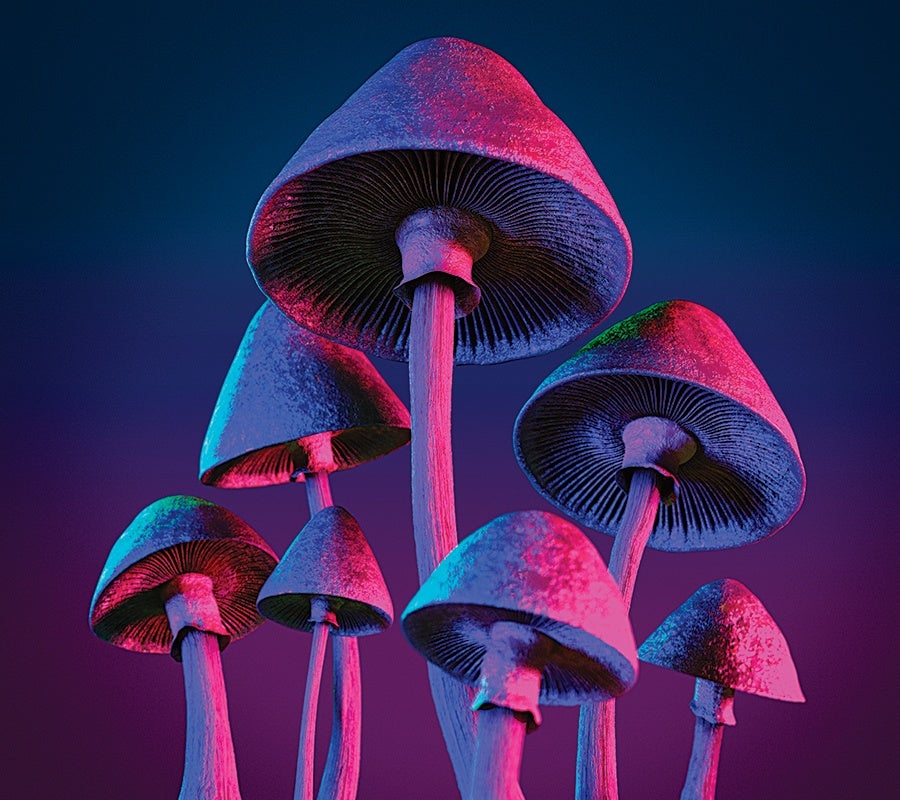 Inside New England's Psychedelic Revolution