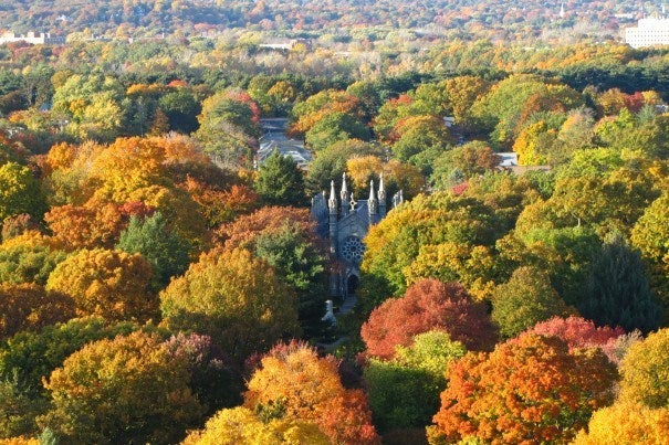 Here’s How to Celebrate All Things Fall with a Weekend in Cambridge ...