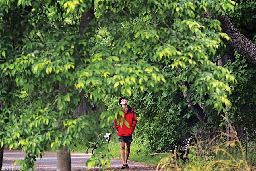 So, You Want to Live in Jamaica Plain, Boston?